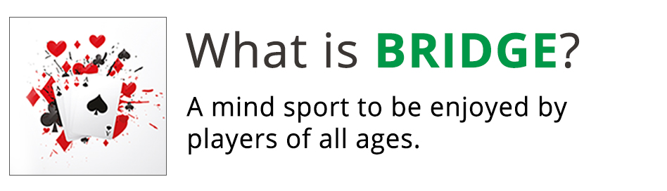 European Bridge League | Administering the Mind Sport BRIDGE in Europe